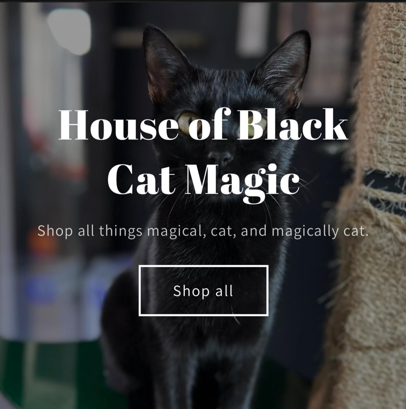 Temporary Tattoos – House of Black Cat Magic